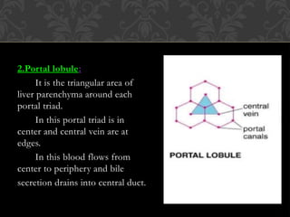HISTOLOGY OF LIVER .pptx