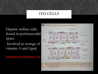 HISTOLOGY OF LIVER .pptx