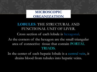 HISTOLOGY OF LIVER .pptx