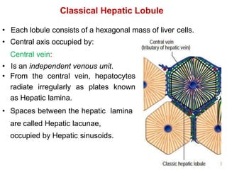 Histology of liver ppt | PPTX
