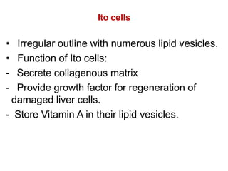 Histology of liver ppt | PPTX