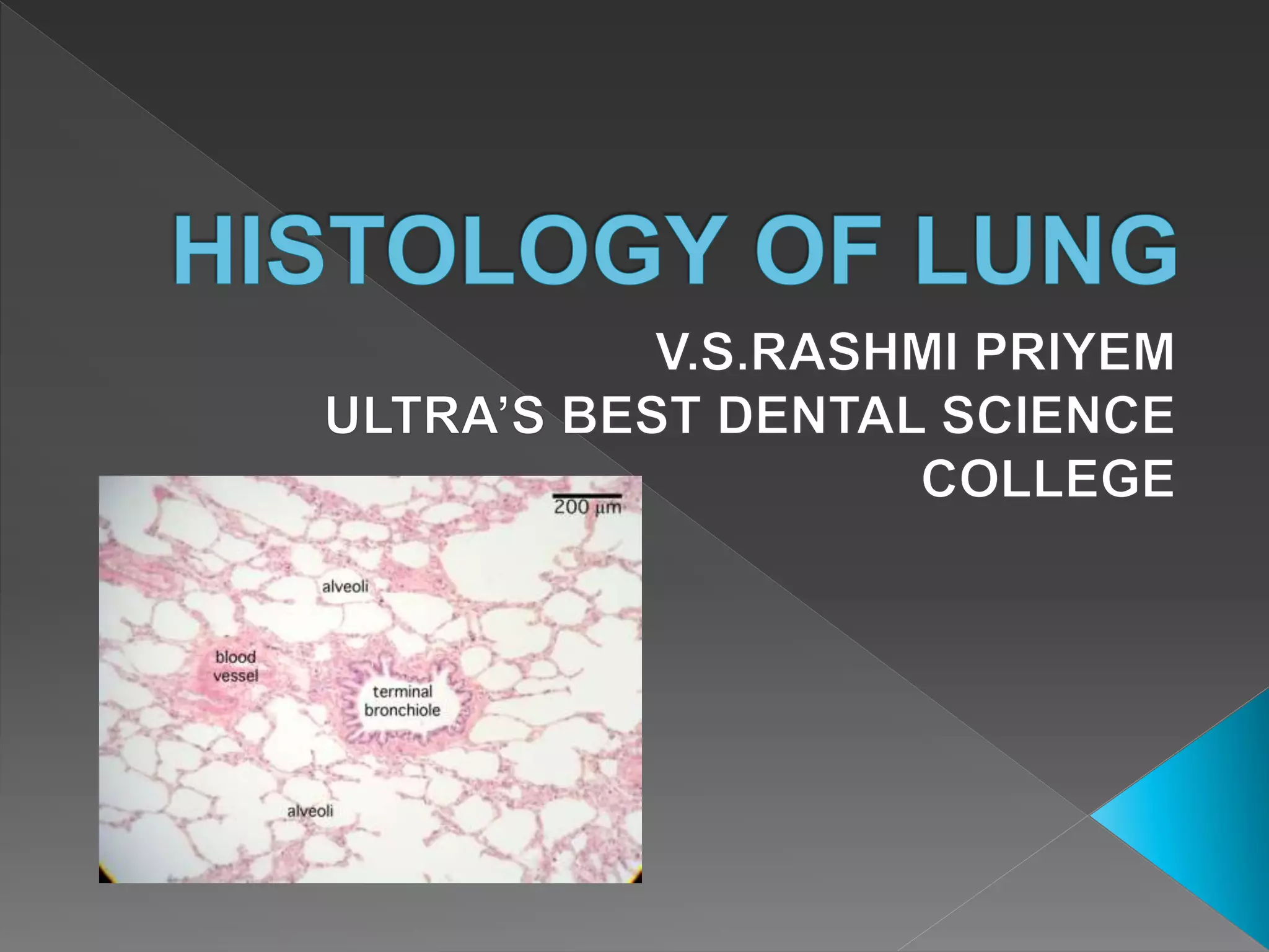 Histology of Lung | PPTX