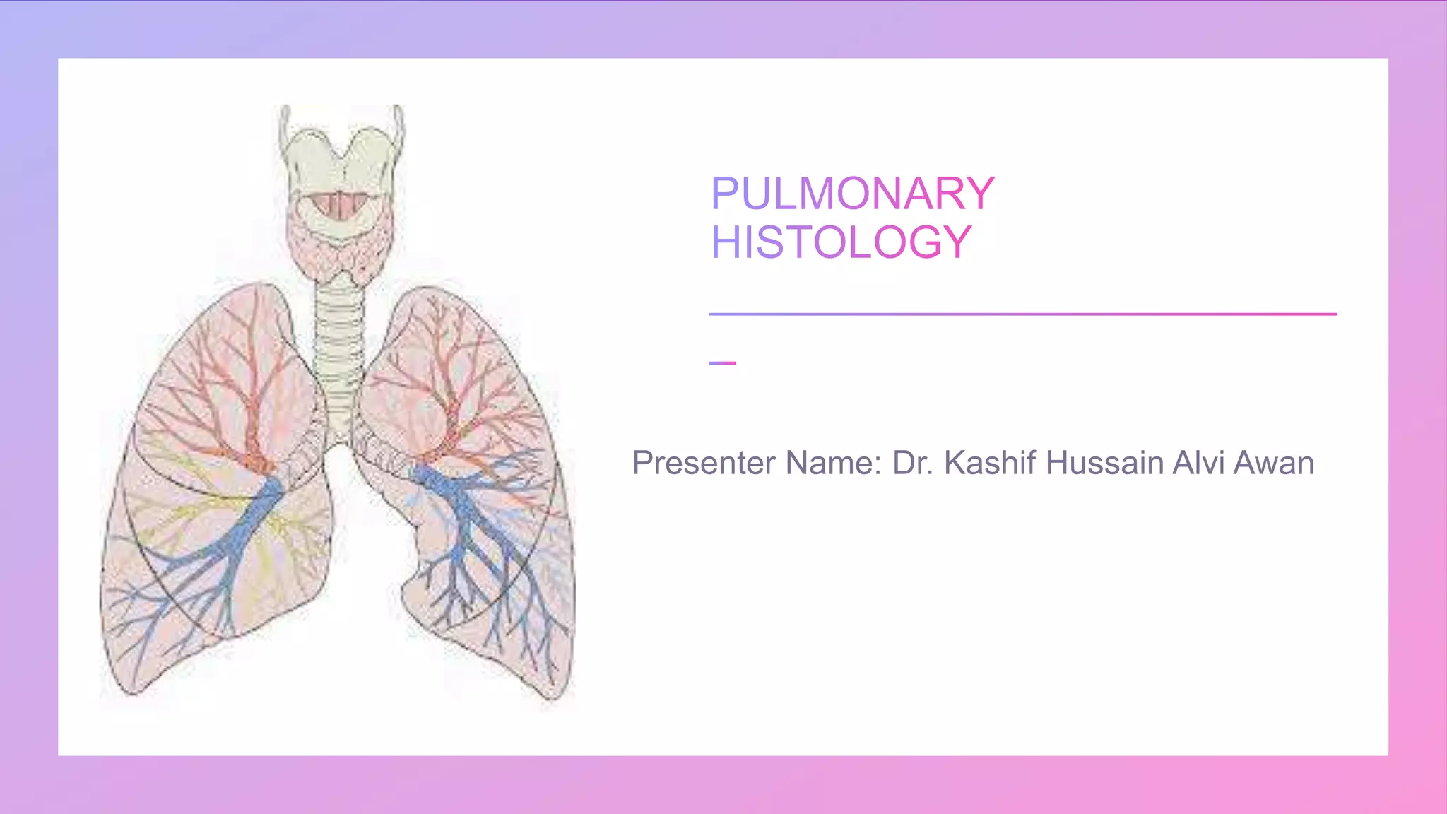 Lung Histology Labeled Drawing