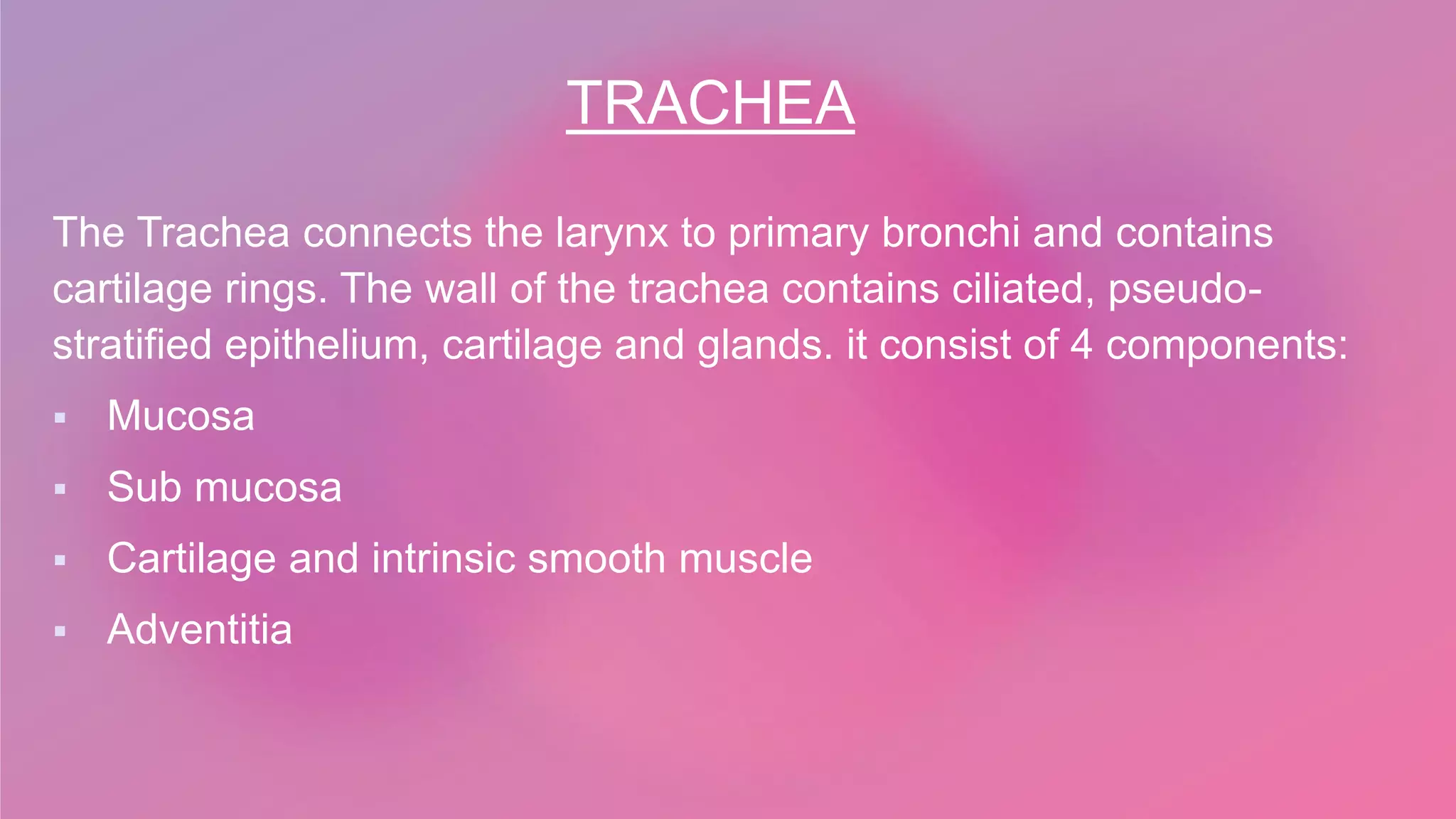 Histology of Lungs | PPTX