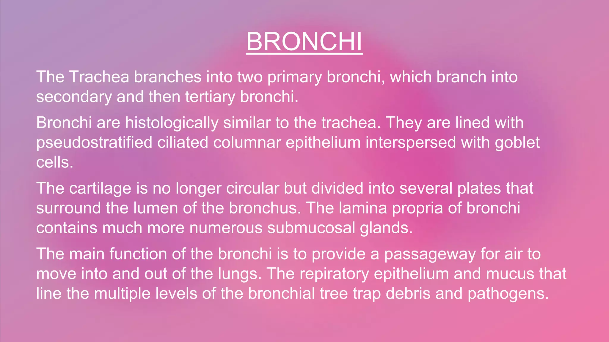 Histology of Lungs | PPTX