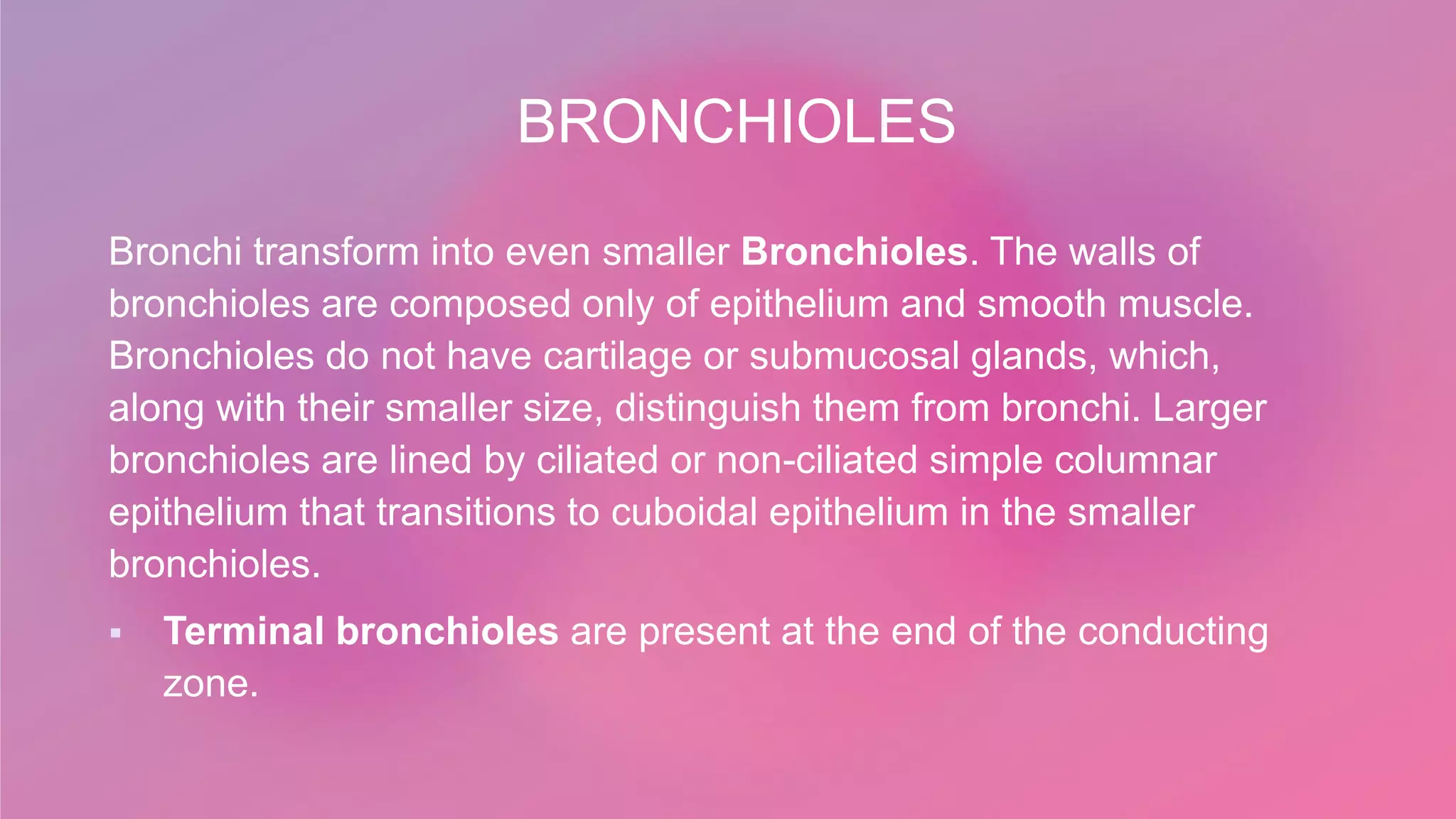 Histology of Lungs | PPTX