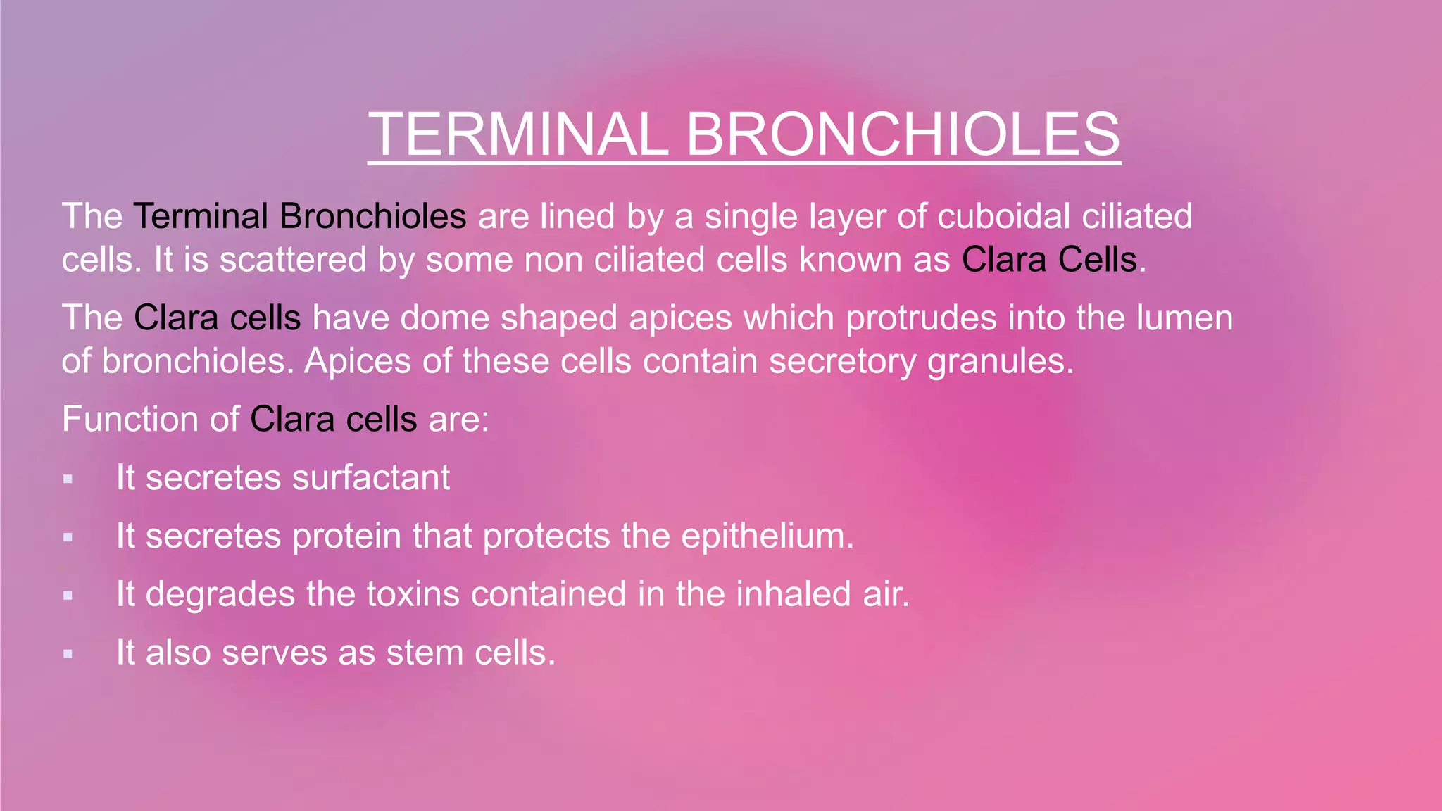 Histology of Lungs | PPTX