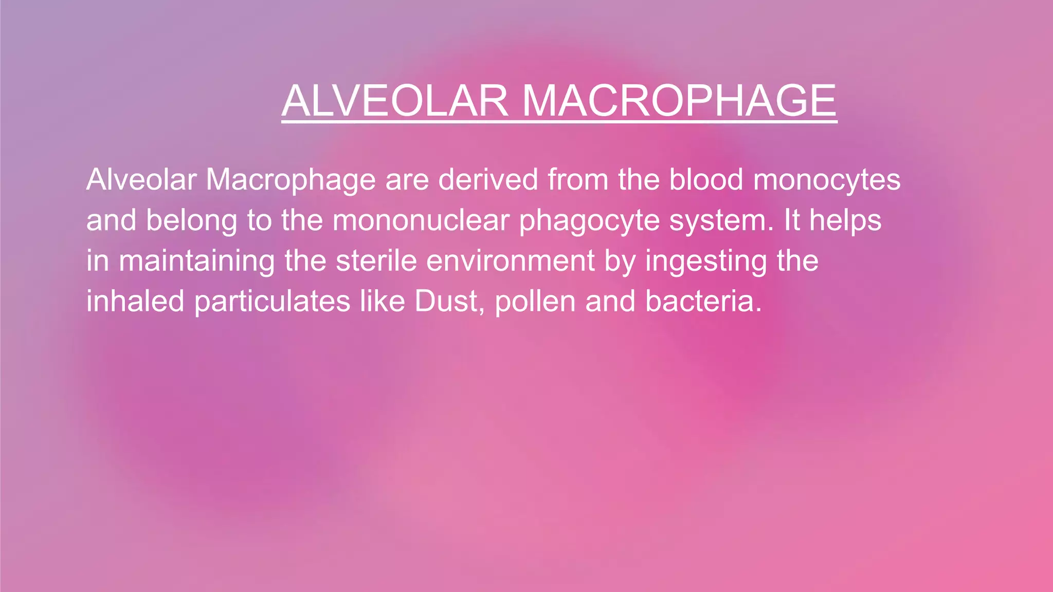 Histology of Lungs | PPTX