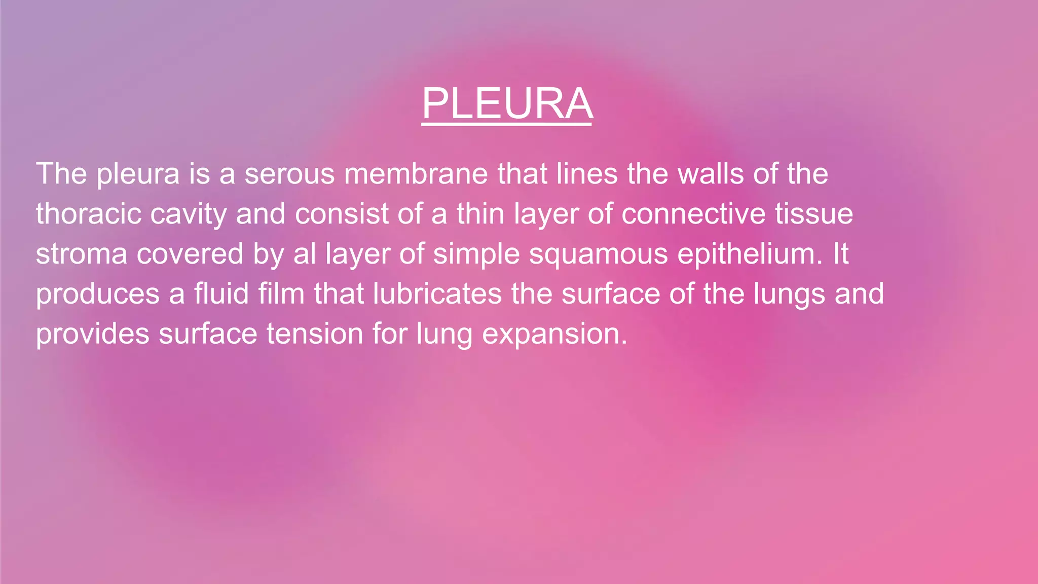 Histology of Lungs | PPTX
