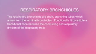 Histology of Lungs | PPTX