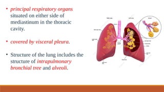 HISTOLOGY OF LUNGS BY DR. JEANEE THONGRAM | PPTX