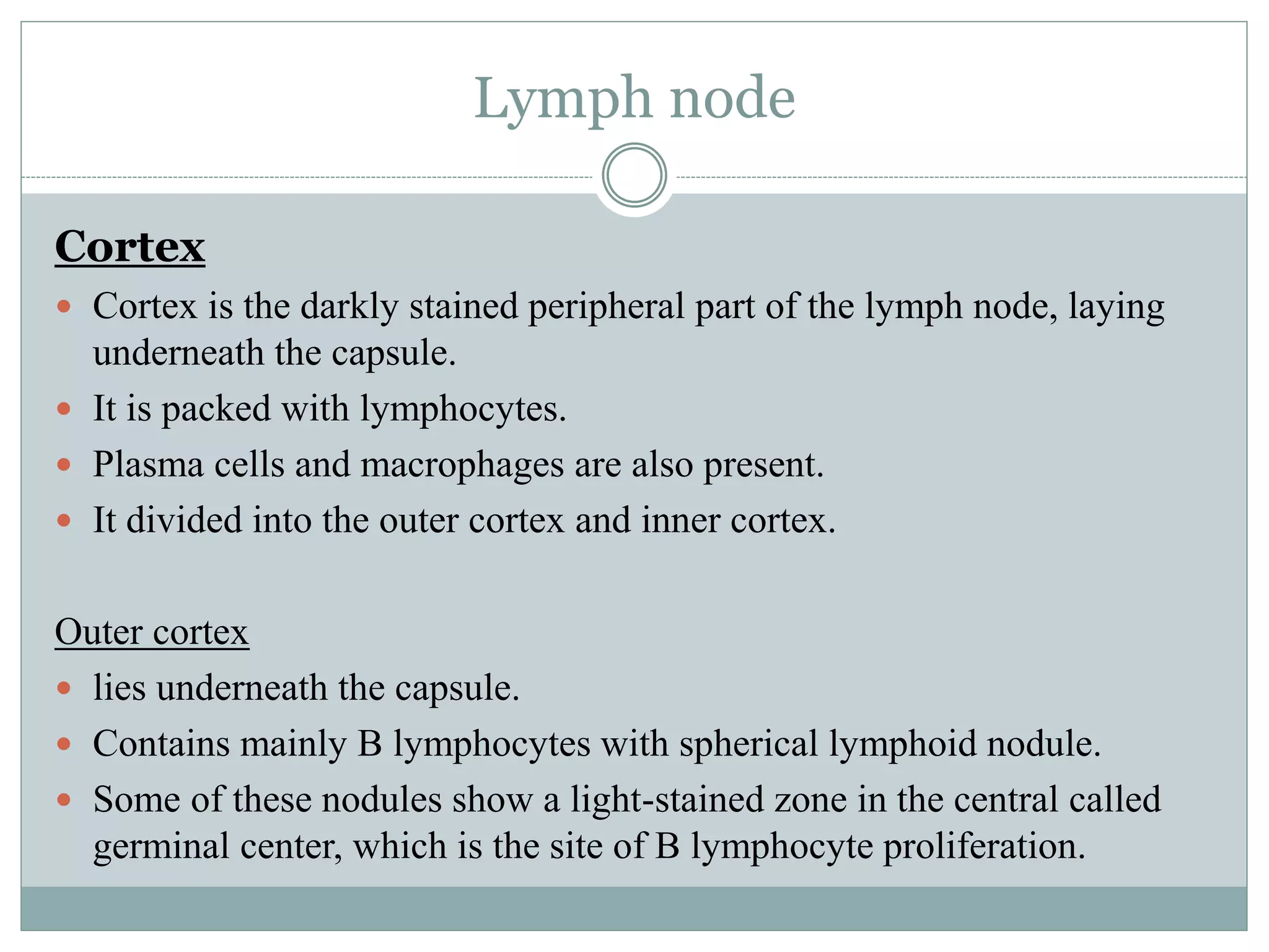 Histology of lymphatic system | PPTX