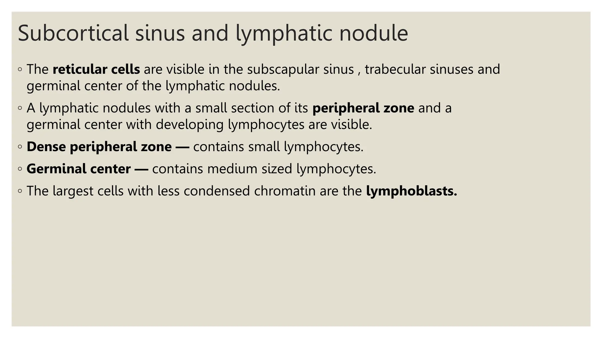 Histology of lymph node(lymph node histology) | PPTX
