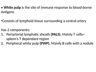 Histology of lympoid tissue BCM.pptx system | PPTX
