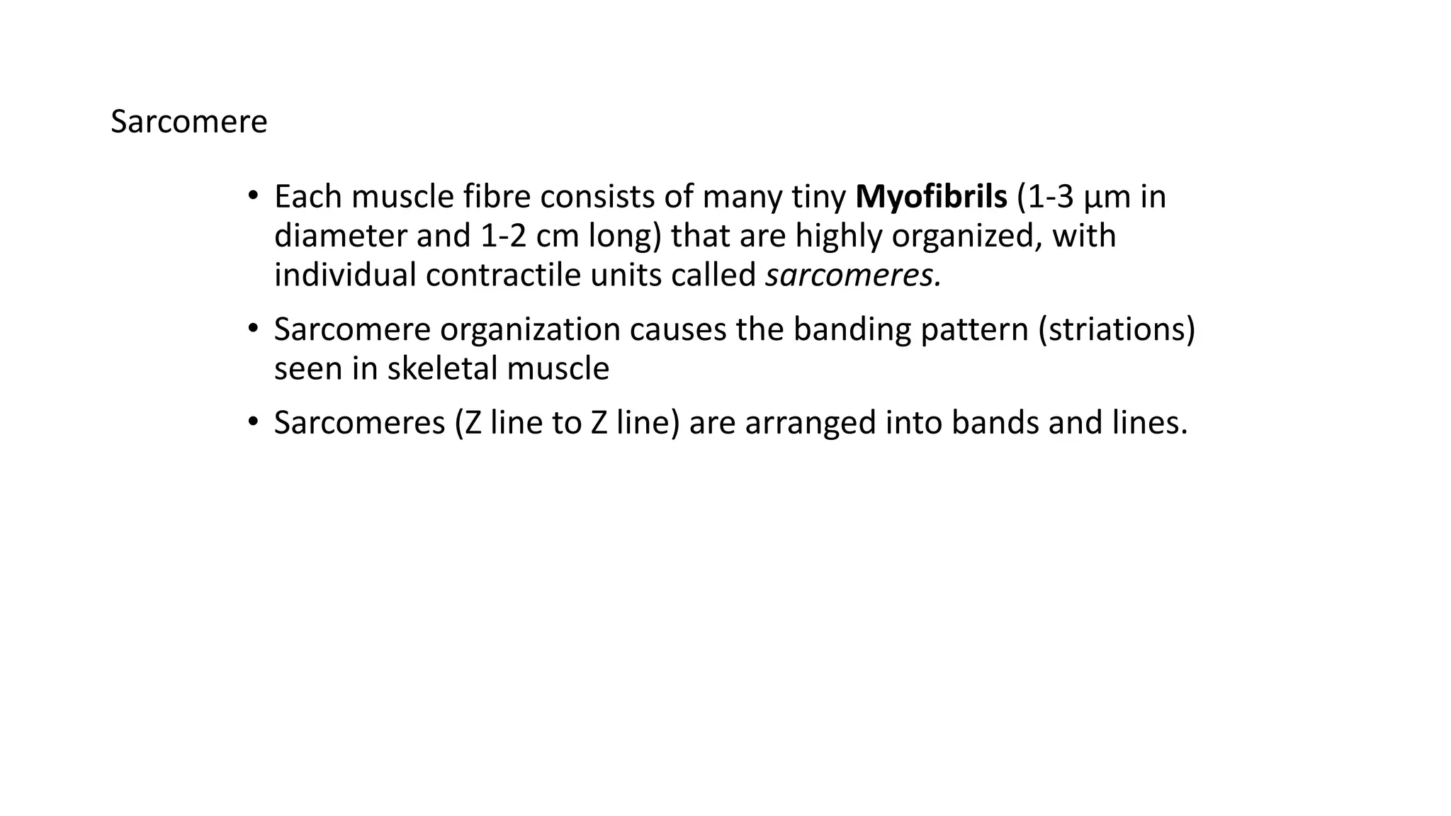 Histology of musculoskeletal system | PPTX