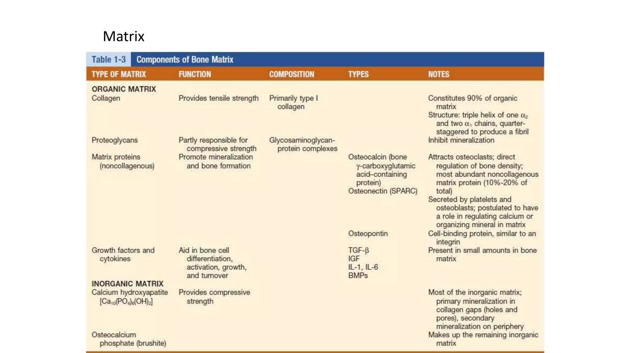 Histology of musculoskeletal system | PPTX