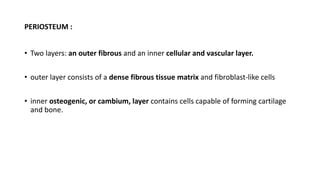 Histology of musculoskeletal system | PPTX