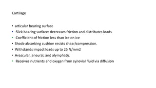 Histology of musculoskeletal system | PPTX