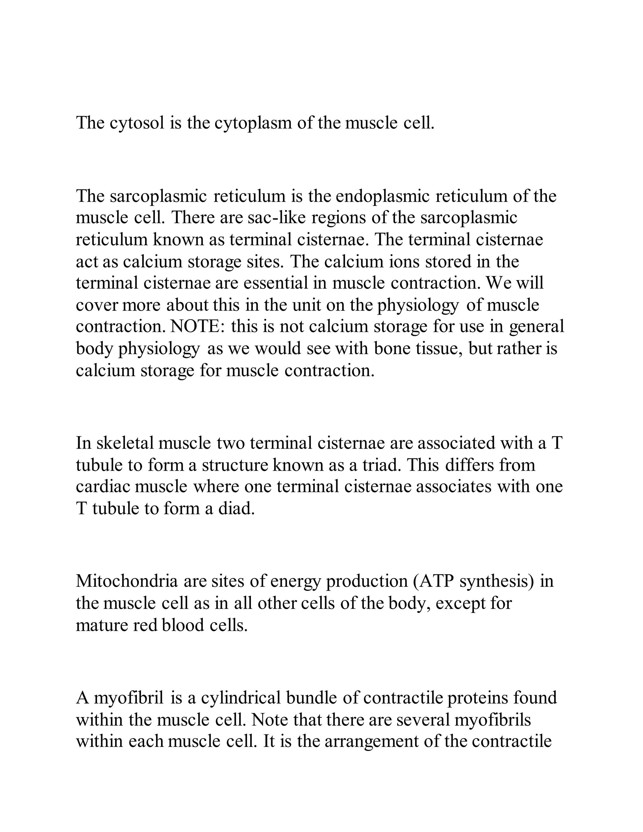 Histology of muscle | DOCX