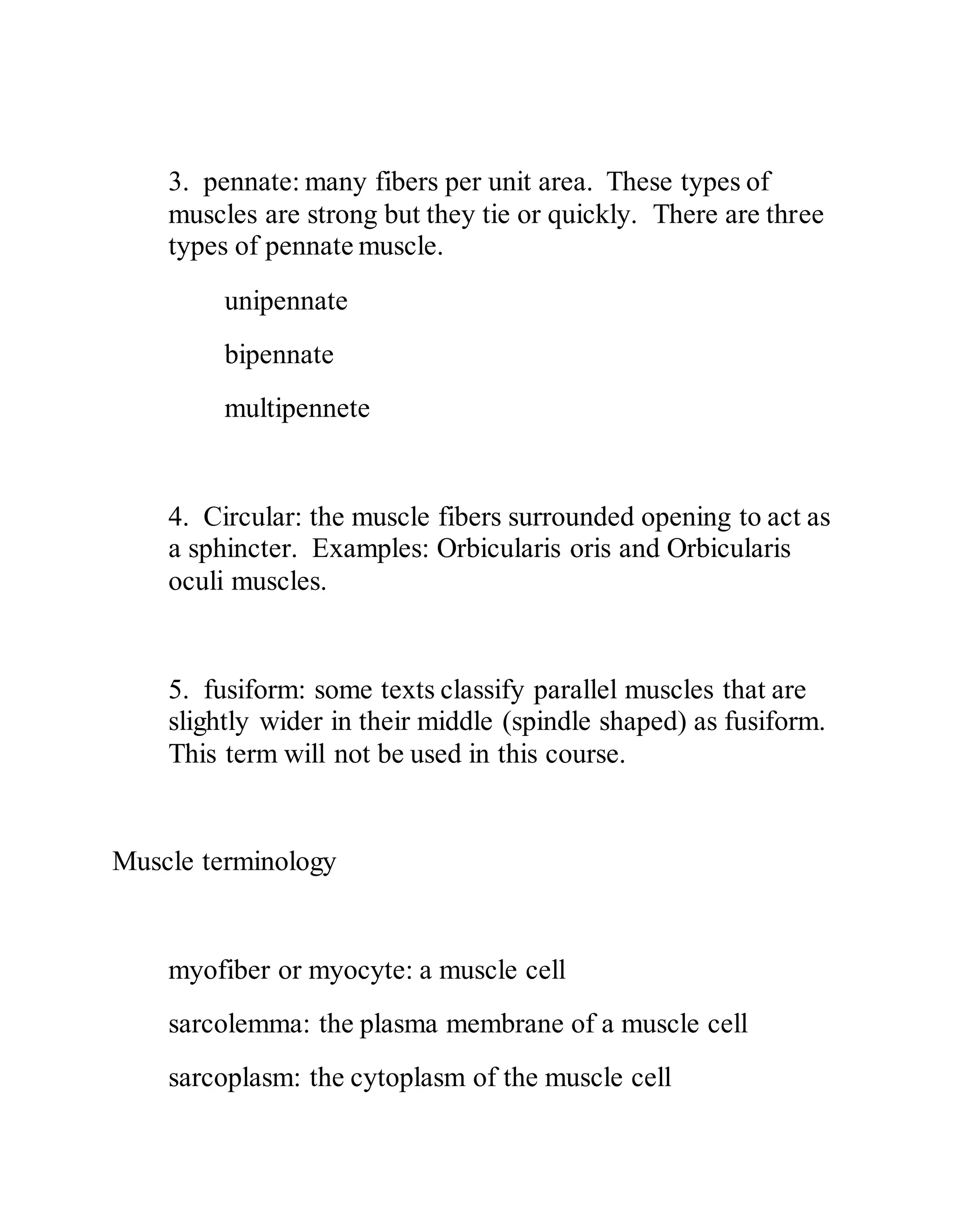Histology of muscle | DOCX