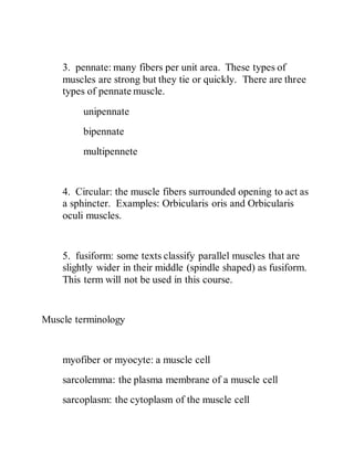 Histology of muscle | DOCX