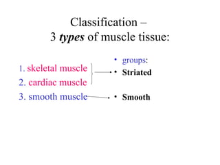 histology of muscles of the upper and lower limb | PPT