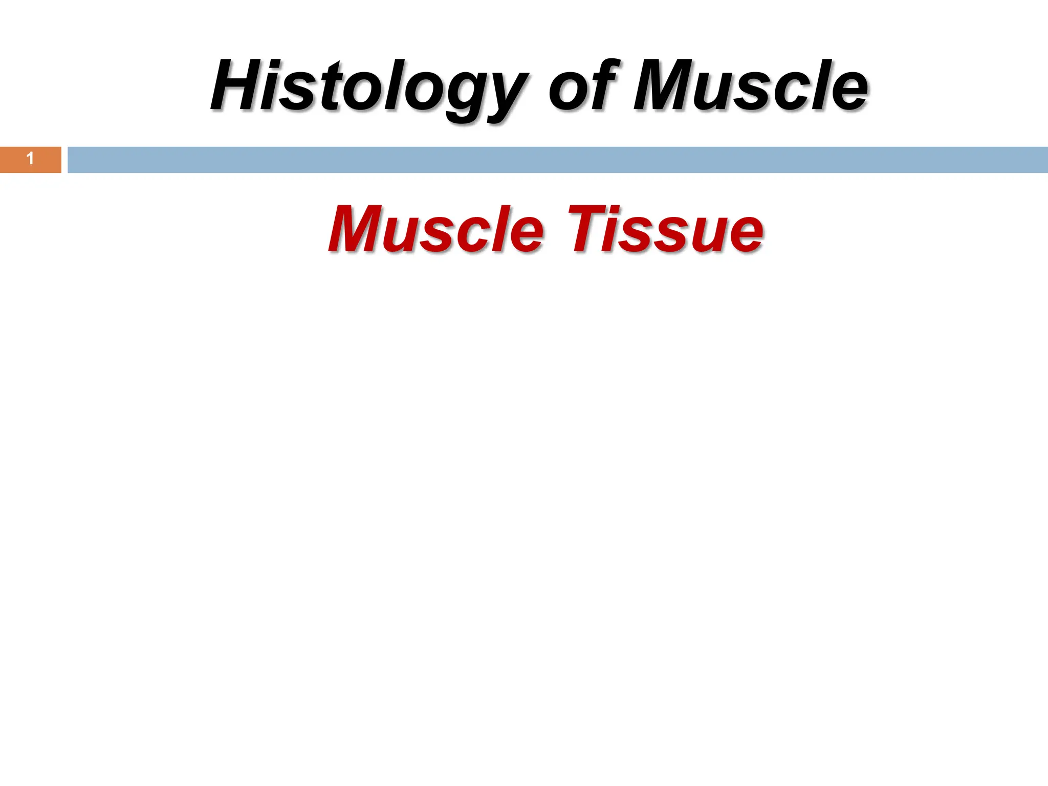 Histology of Muscles of the human body - Copy [A].pptx
