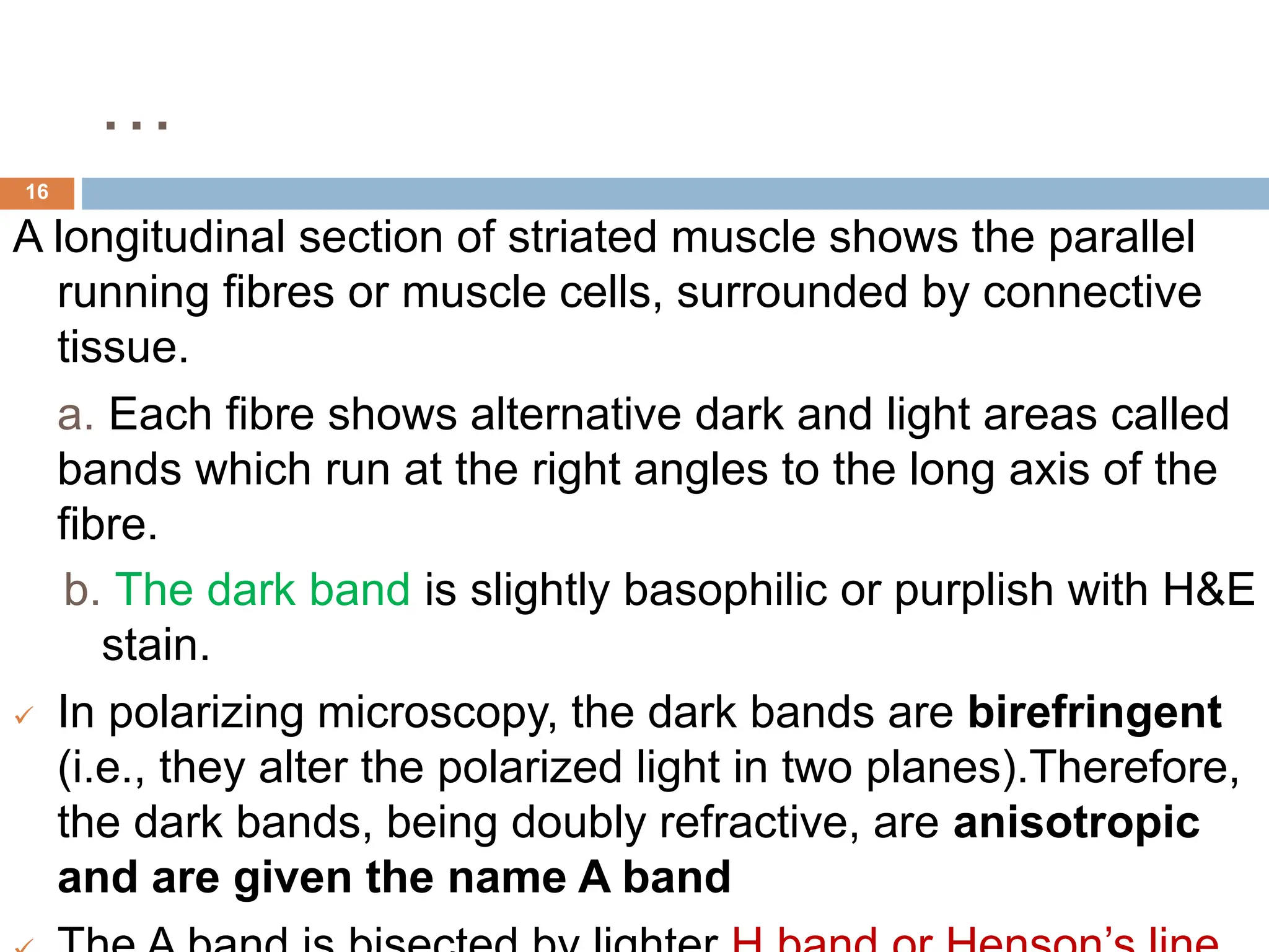 Histology of Muscles of the human body - Copy [A].pptx