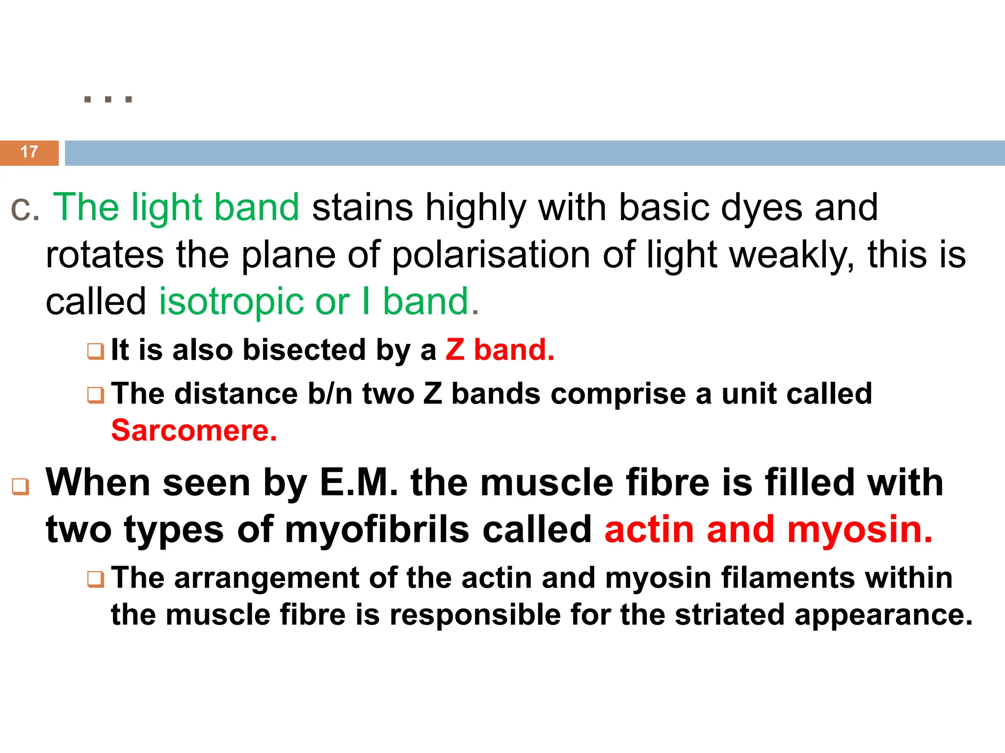 Histology of Muscles of the human body - Copy [A].pptx