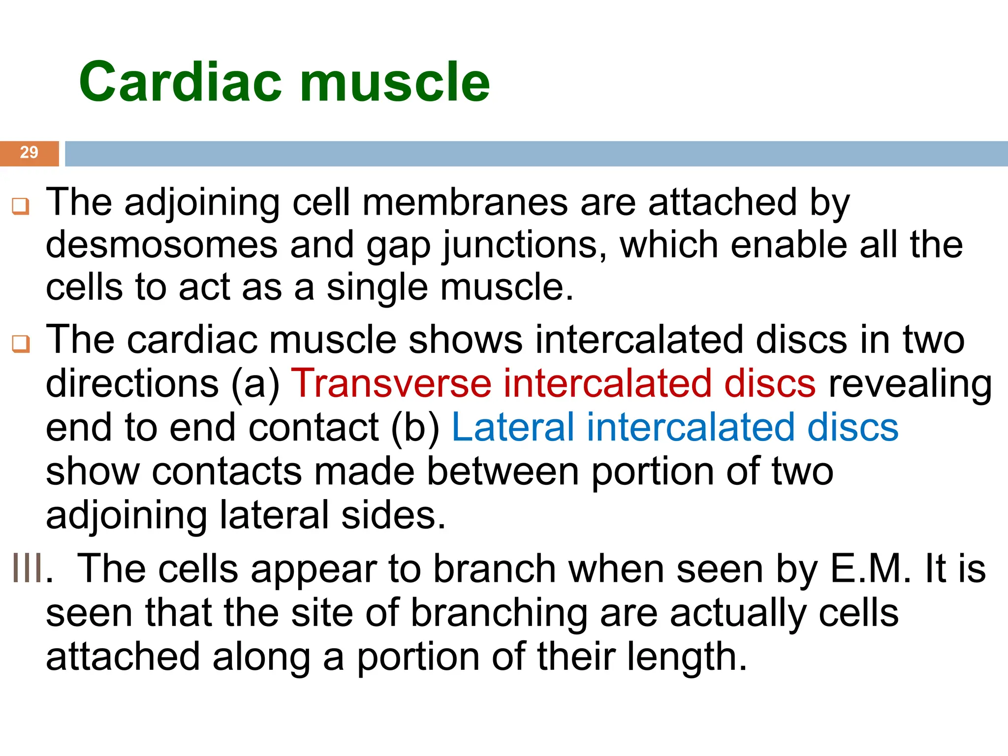 Histology of Muscles of the human body - Copy [A].pptx