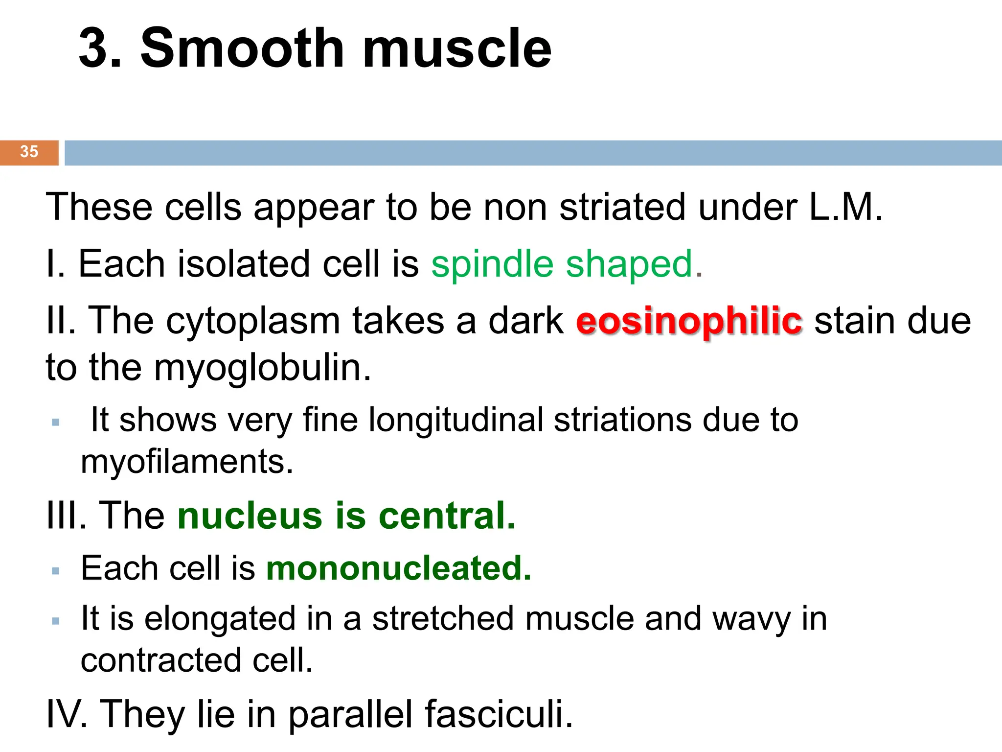 Histology of Muscles of the human body - Copy [A].pptx