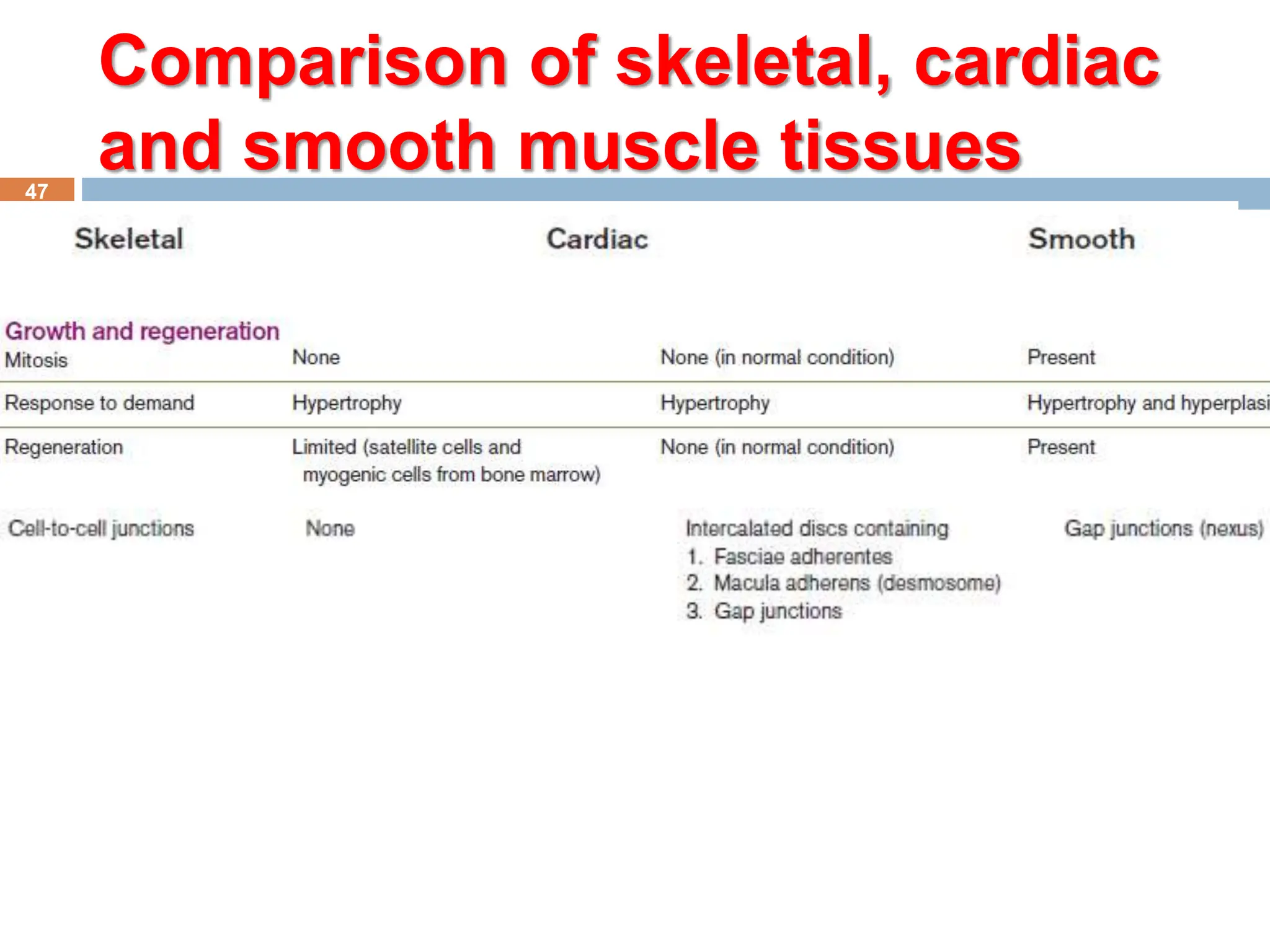 Histology of Muscles of the human body - Copy [A].pptx