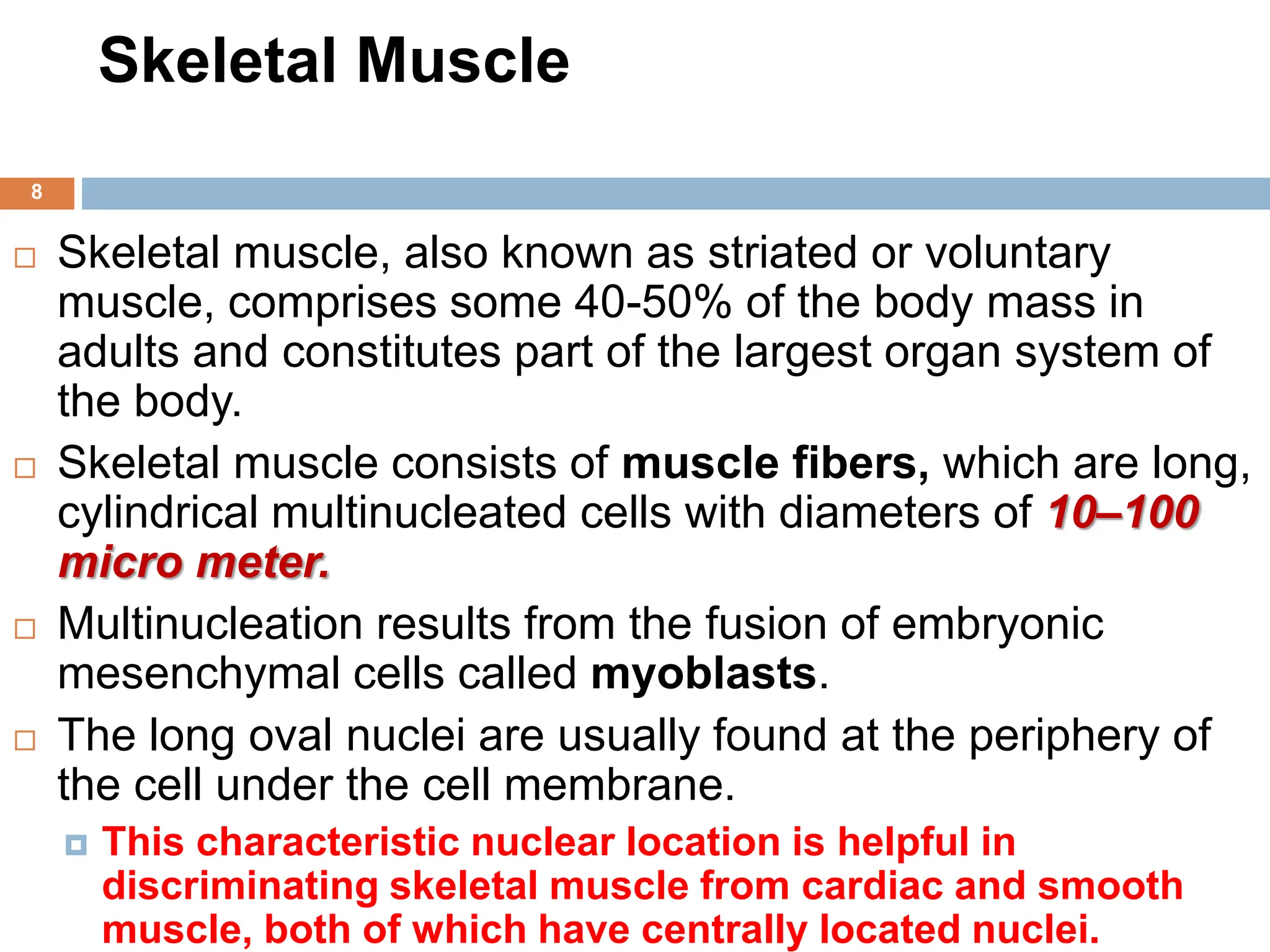 Histology of Muscles of the human body - Copy [A].pptx