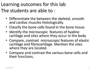 Histology of muscle, cartilage and bone | PPTX