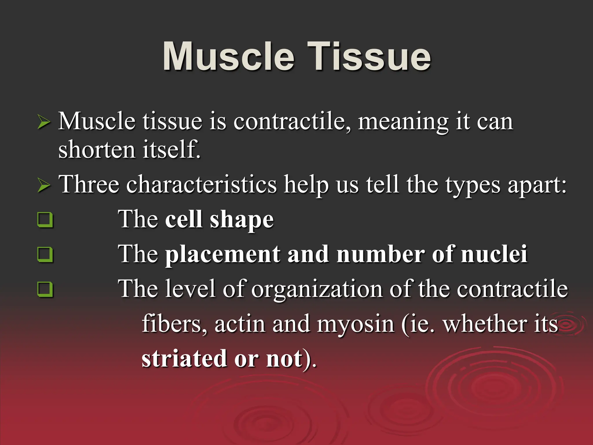 Histology of Muscle types histology o.ppt