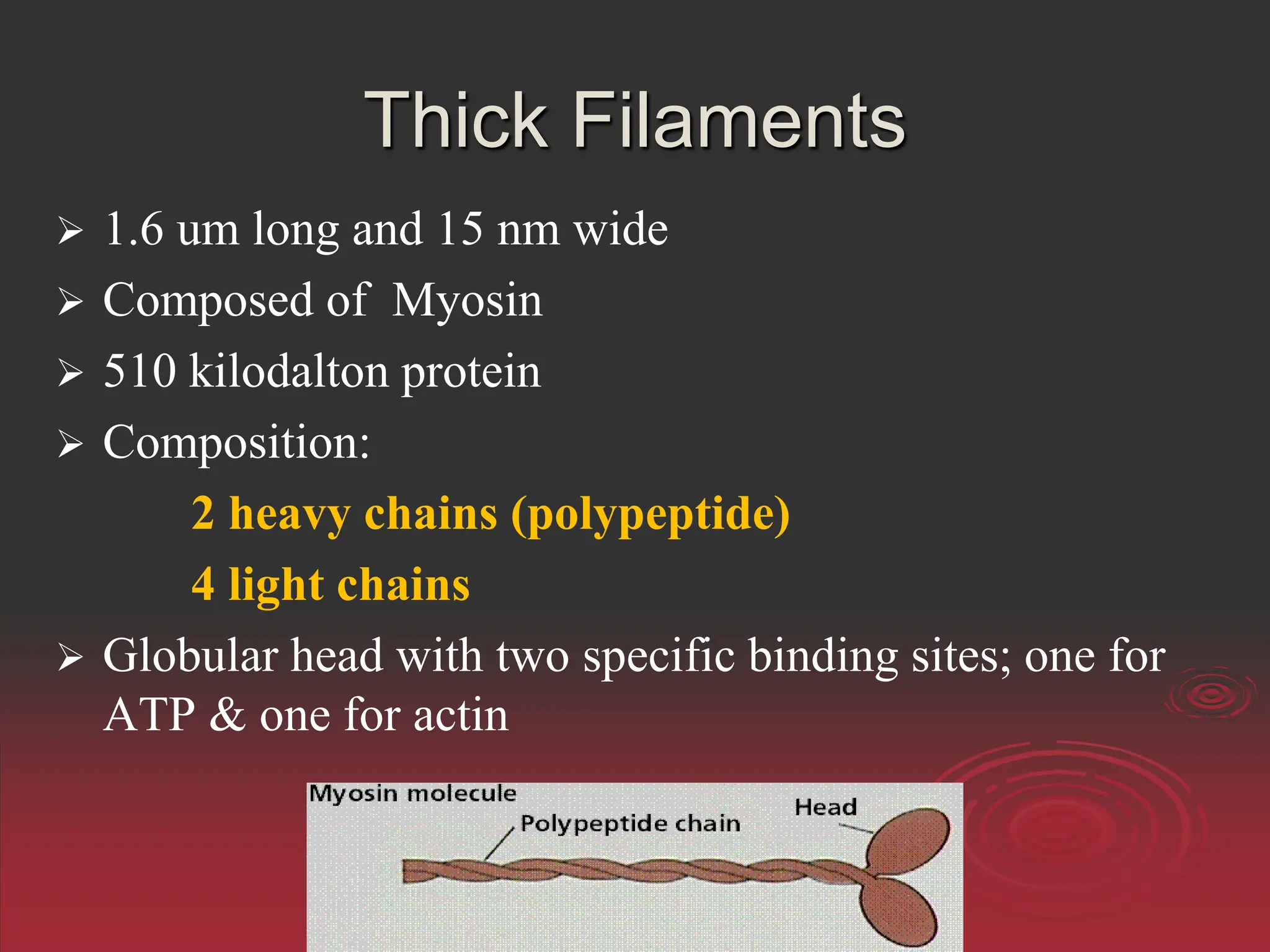 Histology of Muscle types histology o.ppt
