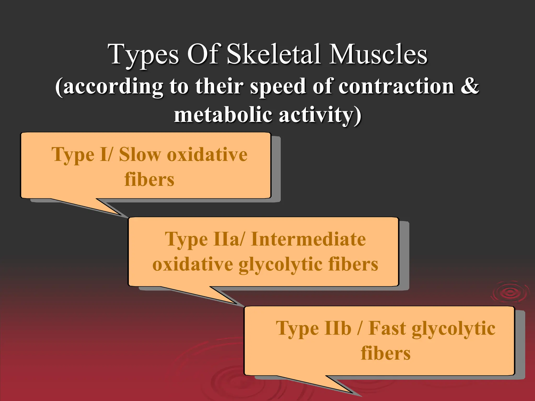 Histology of Muscle types histology o.ppt