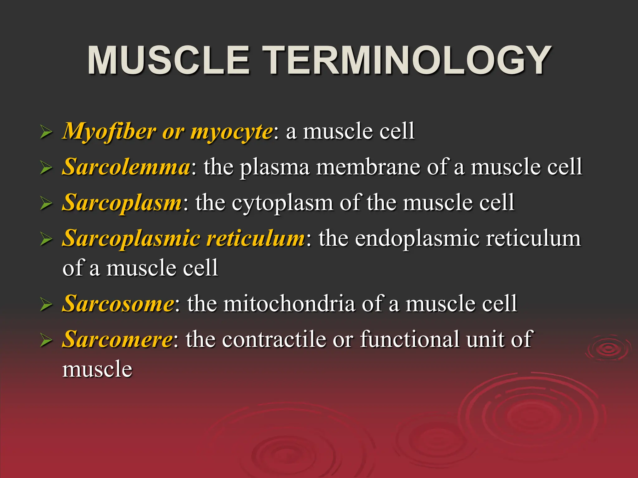 Histology of Muscle types histology o.ppt