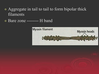 Histology of Muscle types histology o.ppt