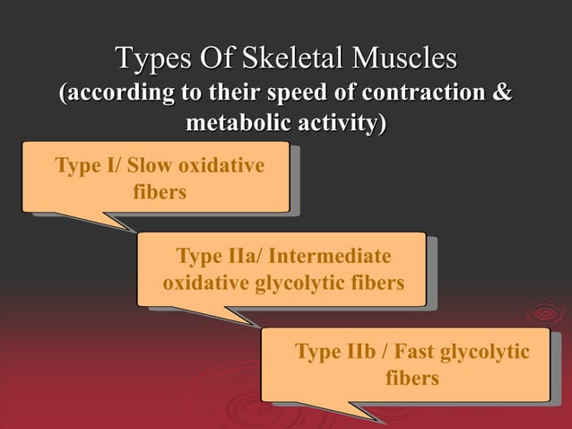 Histology of Muscle types histology o.ppt