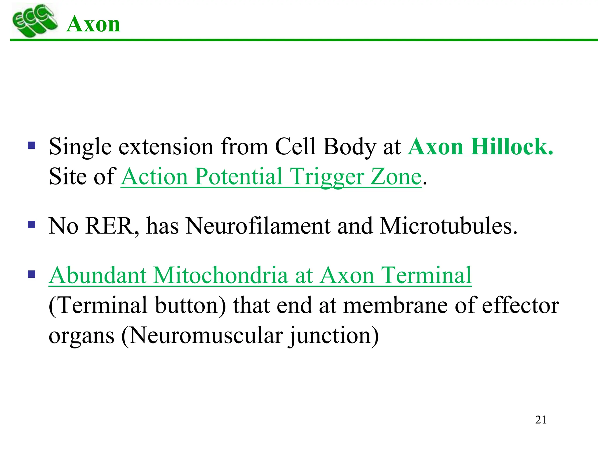 Histology of Nervous System 11st yr.pptx