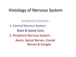 Histology of Nervous System 11st yr.pptx