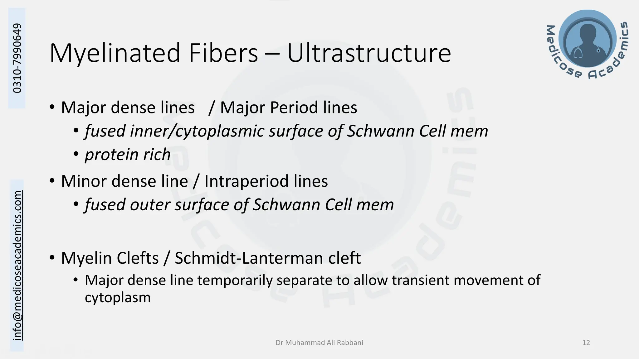 Histology of Nervous System II - Peripheral Nervous System.pdf