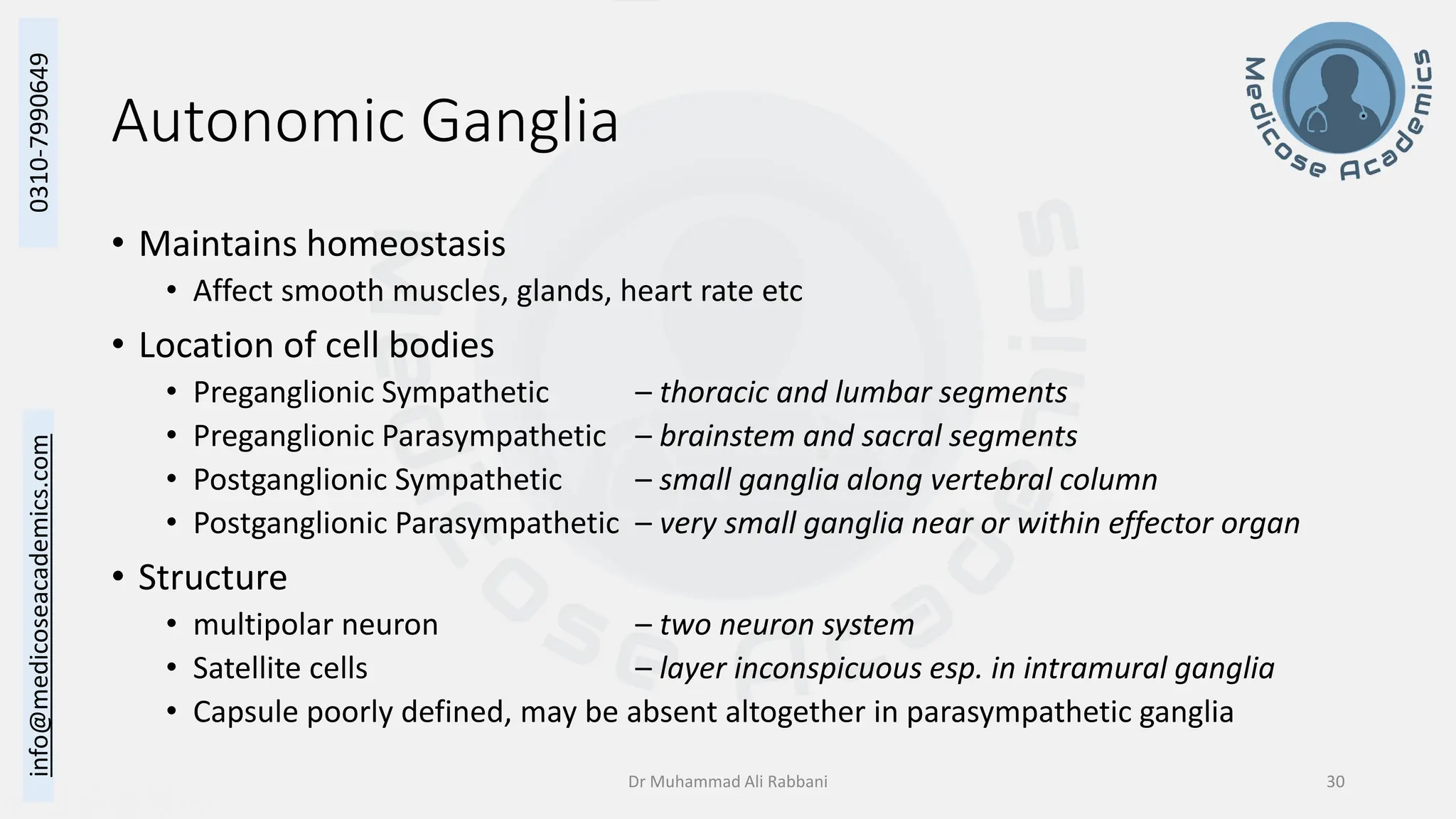 Histology of Nervous System II - Peripheral Nervous System.pdf