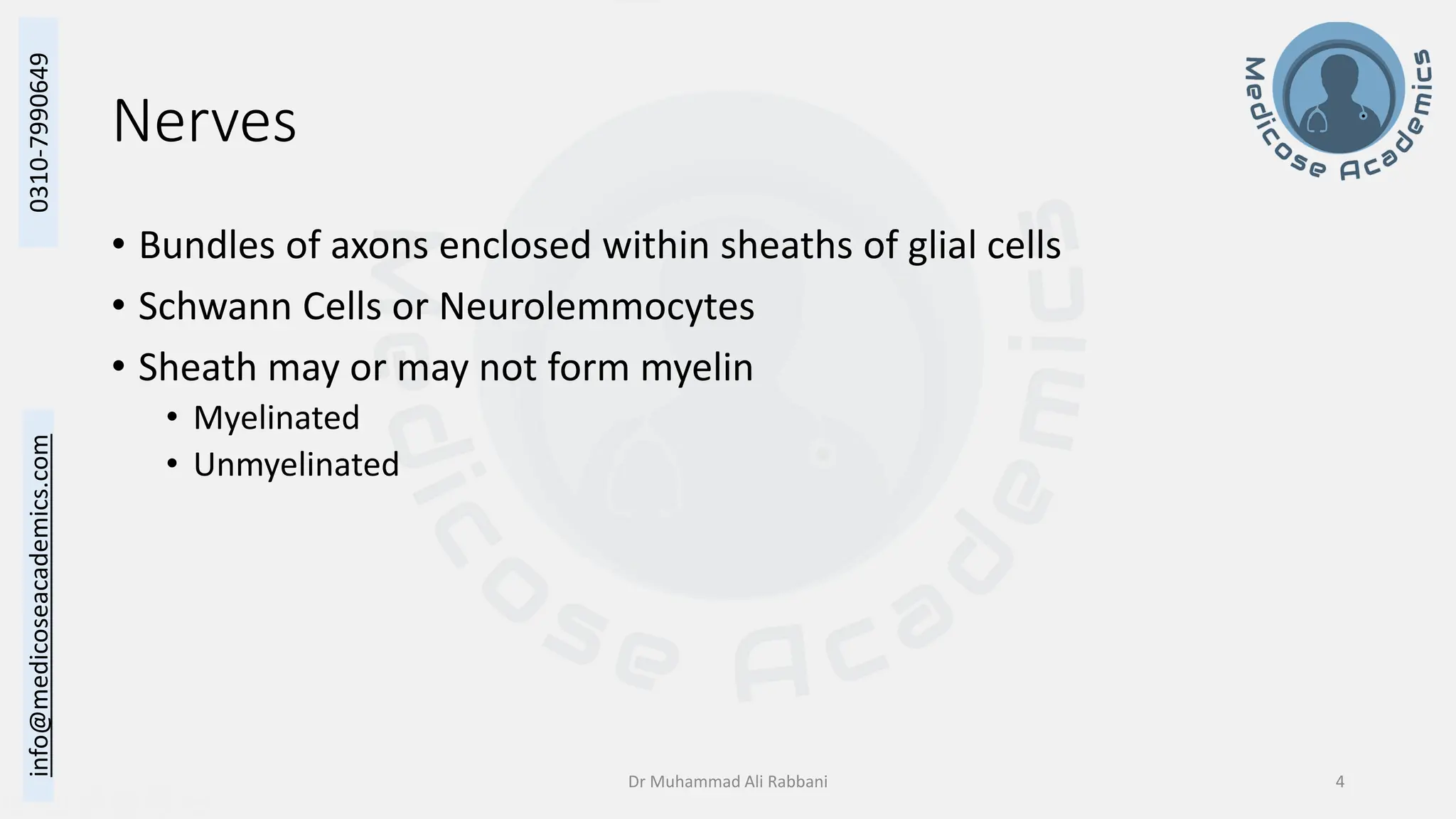 Histology of Nervous System II - Peripheral Nervous System.pdf