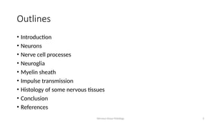 Histology of Nervous tissues presentation.pptx