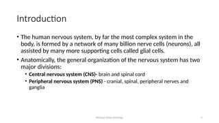 Histology of Nervous tissues presentation.pptx