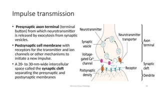 Histology of Nervous tissues presentation.pptx