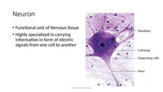 Histology of Nervous tissues presentation.pptx