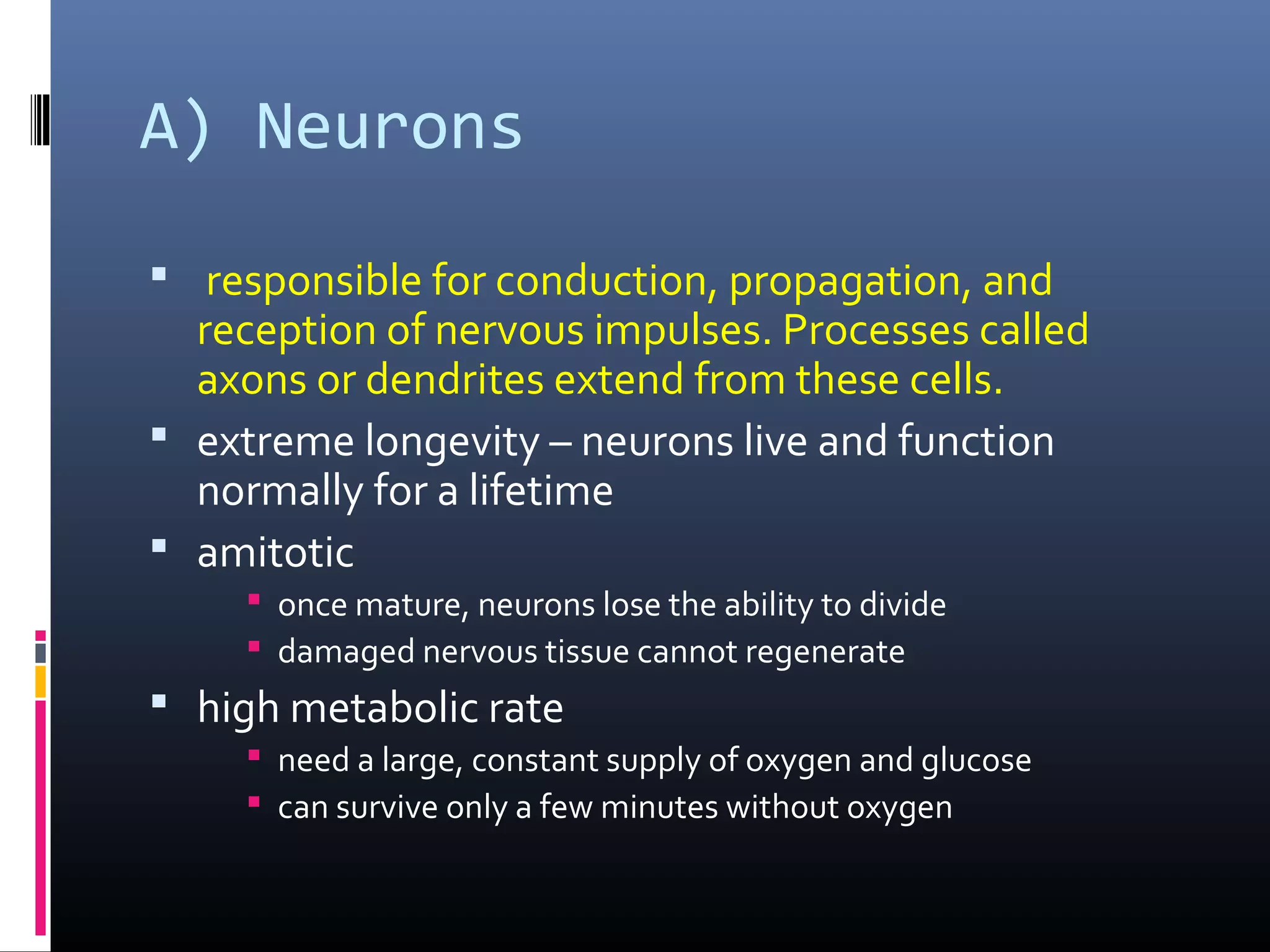 Histology of nervous tissue1 | PPT